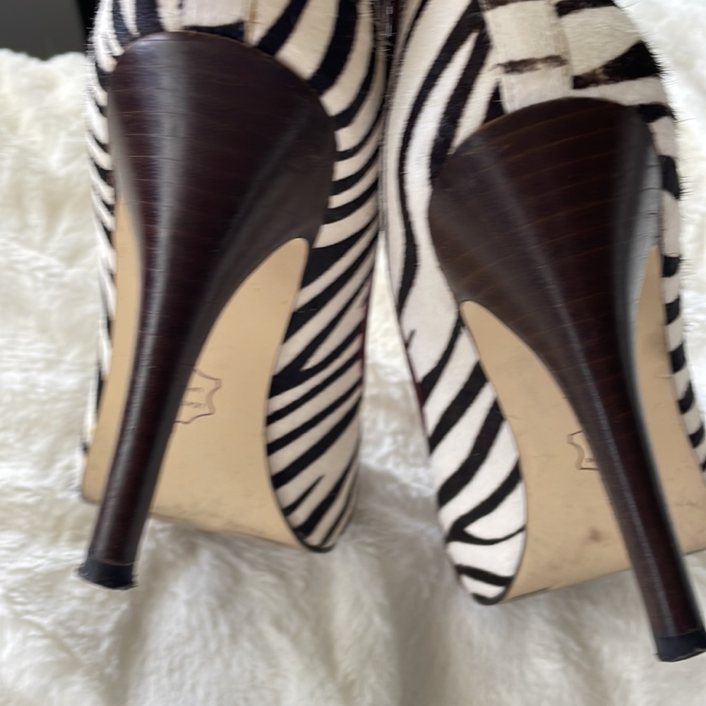 Steve Madden 7m Zebra Print Heel - Gem